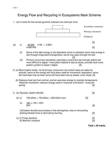 Energy Flow and Recycling in Ecosystems test | Teaching Resources