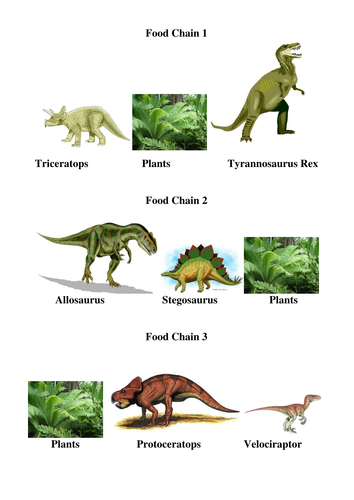 Dinosaur Food Chains by jwraft - UK Teaching Resources - TES