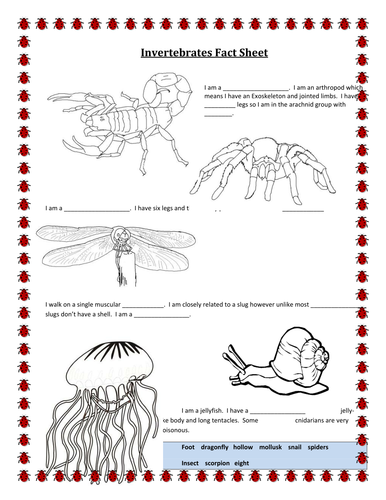 SEN classification worksheet. | Teaching Resources