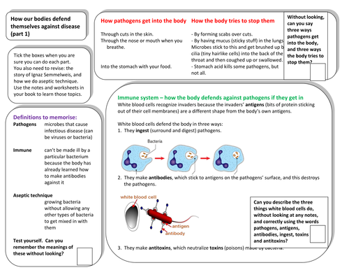 Defense Against Disease review notes | Teaching Resources