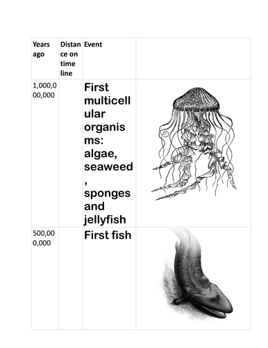 Evolution of Life Scale Timeline | Teaching Resources