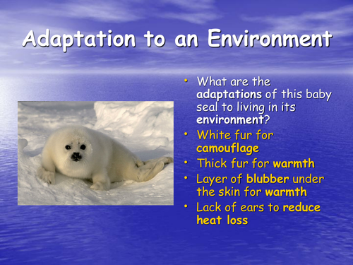 Adaptation to environment | Teaching Resources