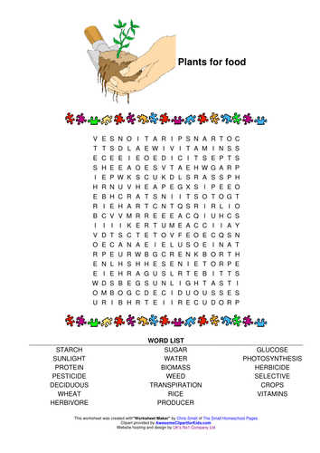 Plants for food wordsearch | Teaching Resources
