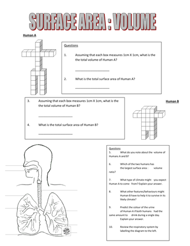 Surface Area To Volume Ratio Worksheet