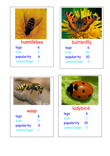 insect cards | Teaching Resources