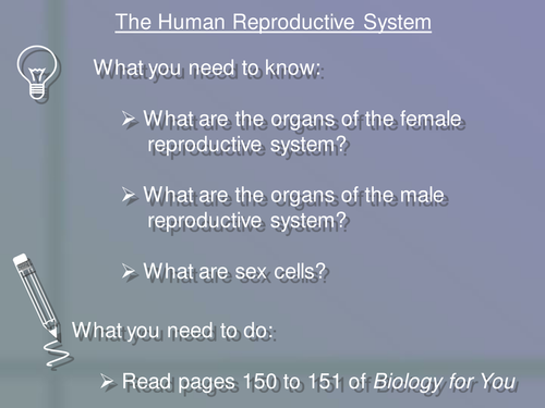 The Human Reproductive System | Teaching Resources