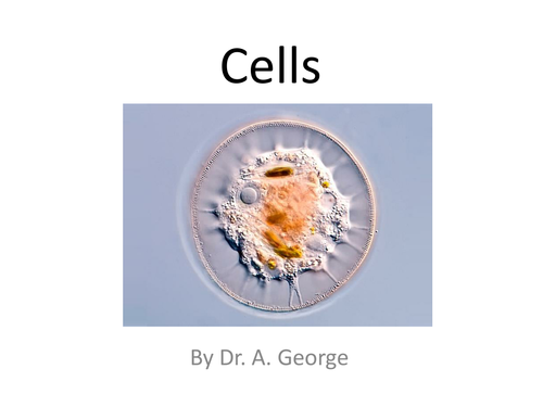 Introduction to Cells | Teaching Resources
