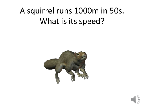 Animal speed calculations | Teaching Resources