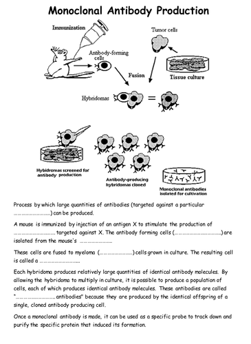 AQA GCSE Biology 2016 Specification 4.3.2.1-2 and 4.3.3.1 - Monoclonal ...