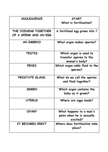 Reproduction loop game | Teaching Resources