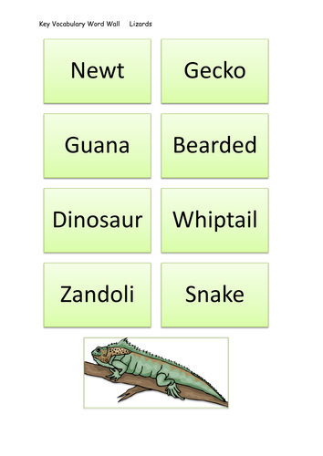 Holes yellow spotted lizard info sheet chapter 8 by sjb1987 - Teaching ...