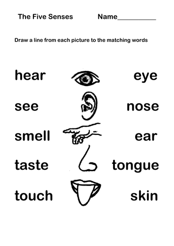 Science - EYFS / KS1-The Five Senses by LearnersLabyrinth - Teaching ...