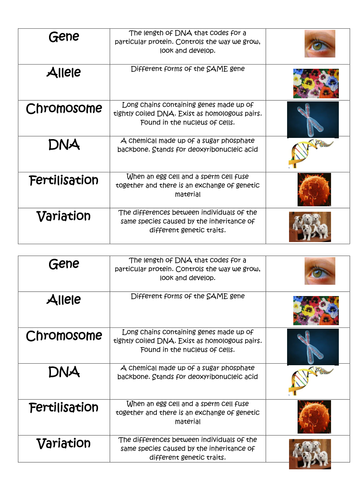 Genetic Variation & Contol | Teaching Resources