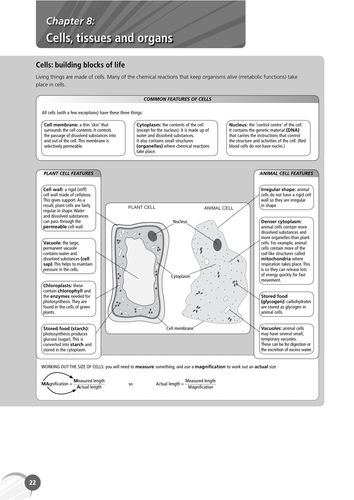 Cells top trumps activity | Teaching Resources
