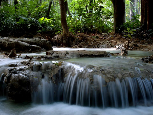 Water Slideshow Teaching Resources