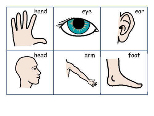 Matching body parts - shadows | Teaching Resources