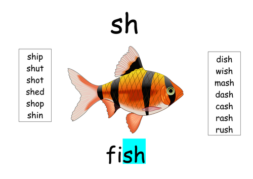 sh ch resources | Teaching Resources