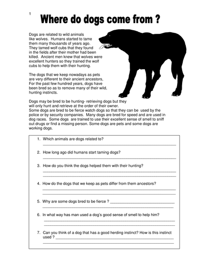 Dog Related Reading | Teaching Resources