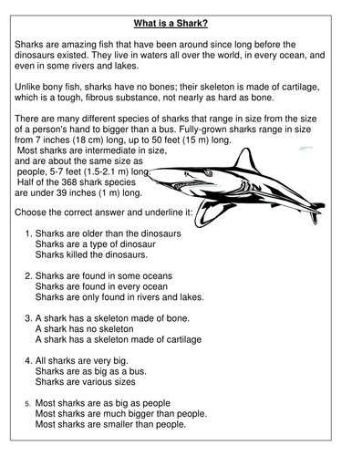 Sharks | Teaching Resources