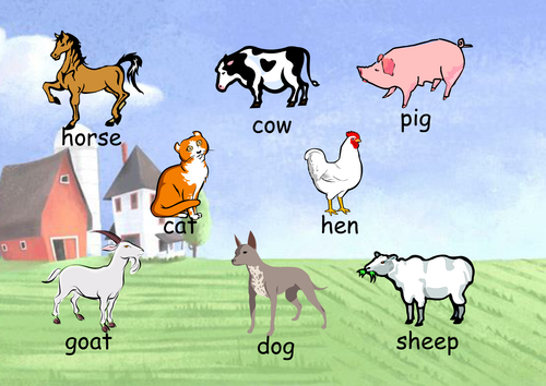 Farm animal word mat | Teaching Resources