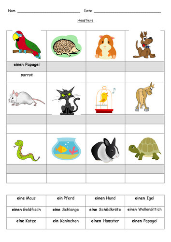 Haustiere - pets handout | Teaching Resources
