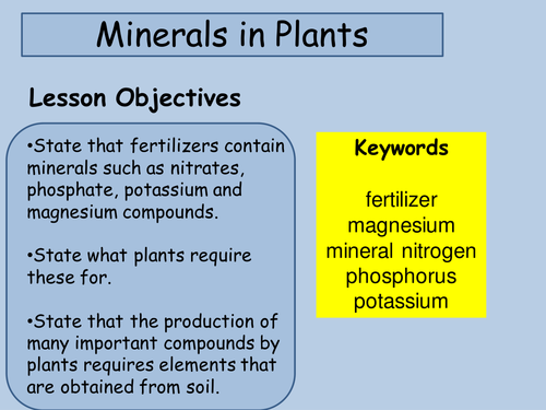 Minerals in plants | Teaching Resources