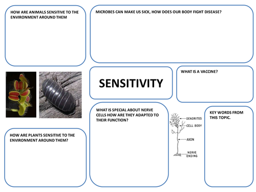 Learning Mats for grade 7 and 8 | Teaching Resources