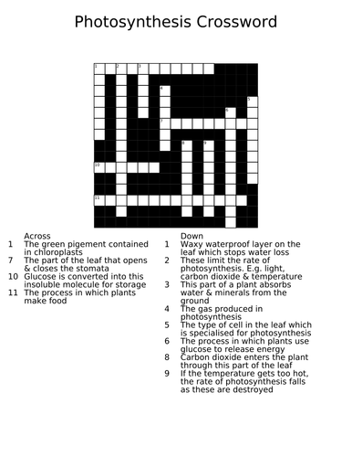 Photosynthesis Crossword | Teaching Resources