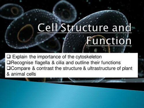 Cell ultrastructure | Teaching Resources