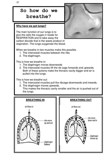 RESPIRATION 9 | Teaching Resources