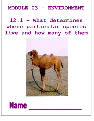 Desert Animal Survival | Teaching Resources