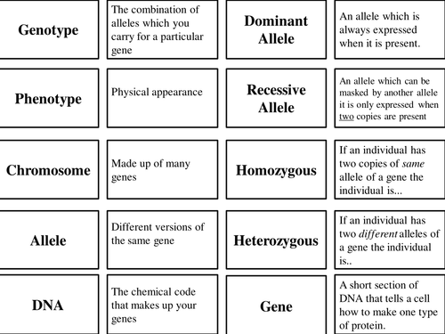 Genetics: keyword card sort / loop cards / dominos | Teaching Resources