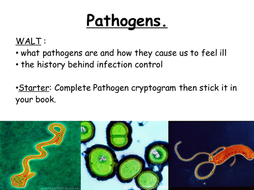 Pathogens | Teaching Resources