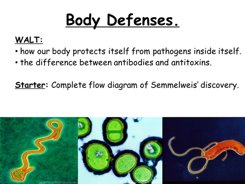 Body defenses | Teaching Resources