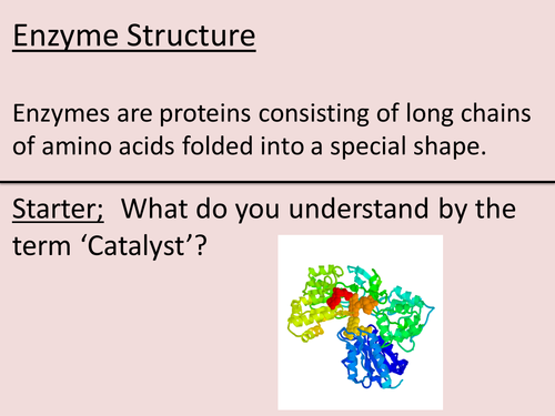 Enzyme structure questions by jm2450 - Teaching Resources - TES