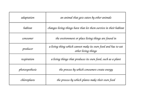 Key Word Loop | Teaching Resources