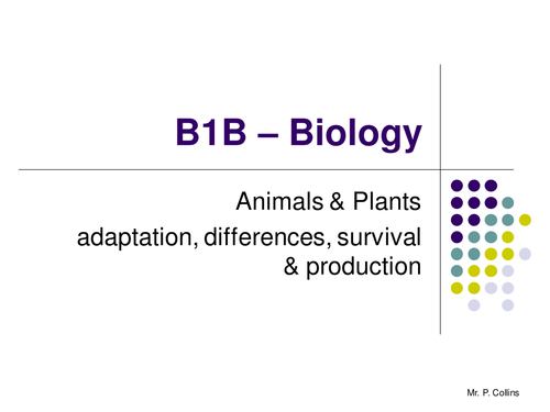 Biology review | Teaching Resources