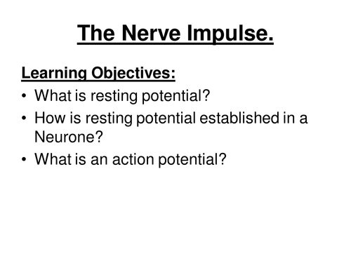 The Nerve Impulse - a step by step interactive worksheet by cmrcarr ...