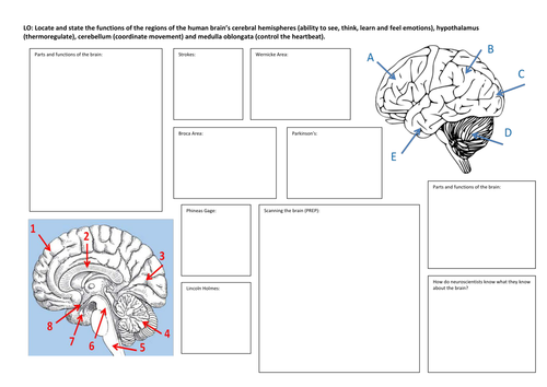Brain Game Challenge by Nat Schools Pship - Teaching Resources - TES
