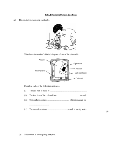 Cells diffusion & Osmosis questions | Teaching Resources