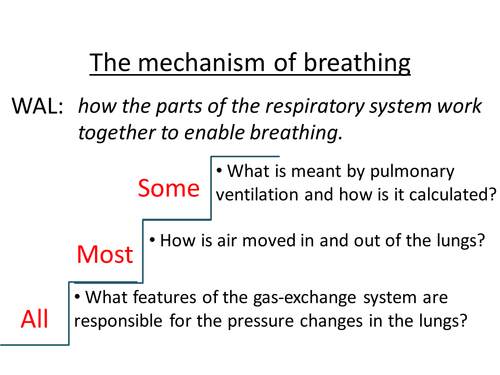 Mechanism of breathing (ventilation) | Teaching Resources