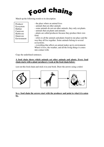 Food chains matching activity | Teaching Resources