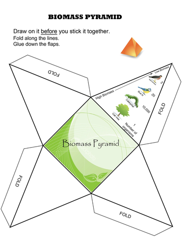 Make a Biomass Pyramid | Teaching Resources