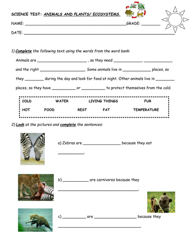 (New AQA) Ecosystems Lesson 2: Food Chain and the Ecosystem. by - UK ...