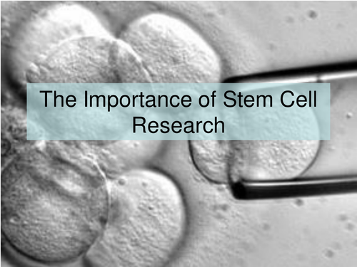 Stem Cells | Teaching Resources