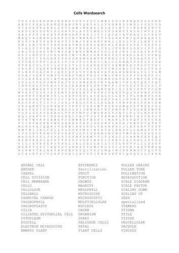 Cell revision lesson - Year 7 by - UK Teaching Resources - TES