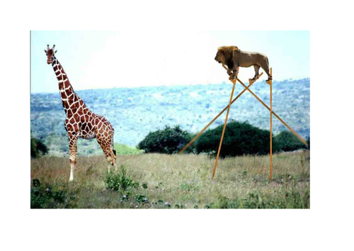 Creative writing -being different | Teaching Resources