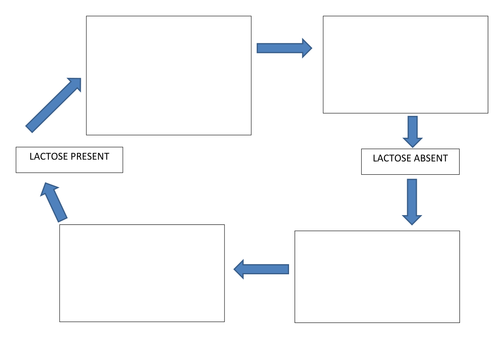 Topic 3 AS Biology | Teaching Resources