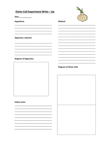 Making Onion Cell Slides | Teaching Resources