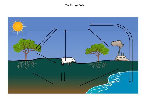 Decay and the Carbon Cycle by Scuttscience - Teaching Resources - TES